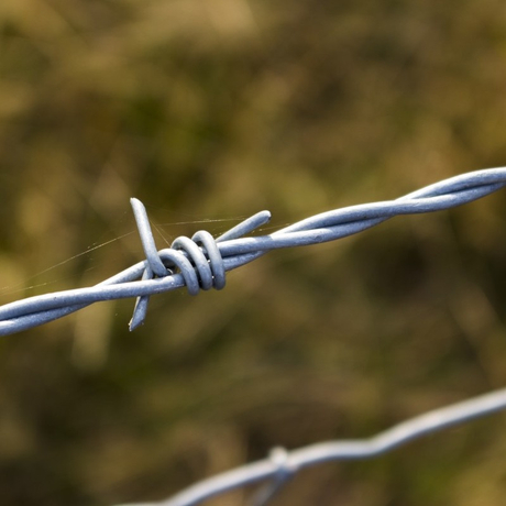 Top Wire Mesh Supplier Canada | Re Mesh | Welded Mesh | Duke's Wire Mesh